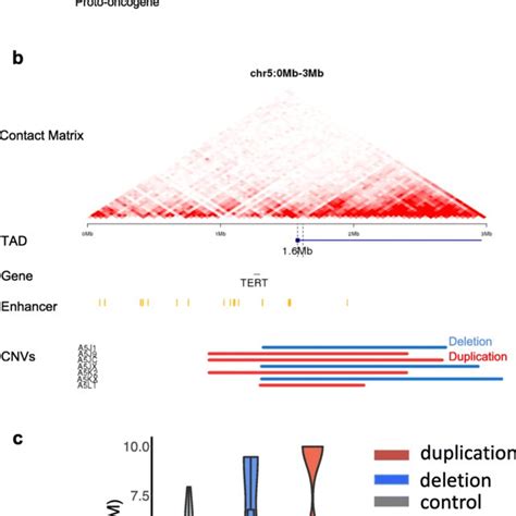 Disruption Of 3d Chromosomal Structures In Cancer Leads To Abnormal Download Scientific Diagram