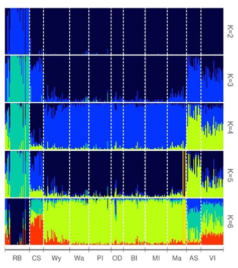 Results From The Bayesian Population Assignment Of Microsatellite Data Download Scientific