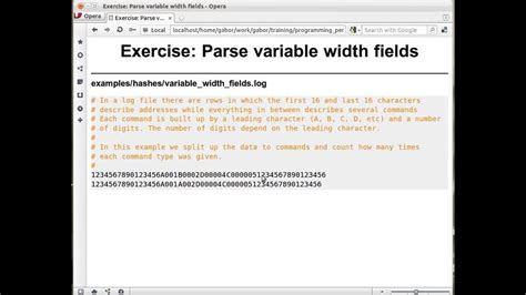 Beginner Perl Maven Tutorial 717 Exercise Parse Variable Width