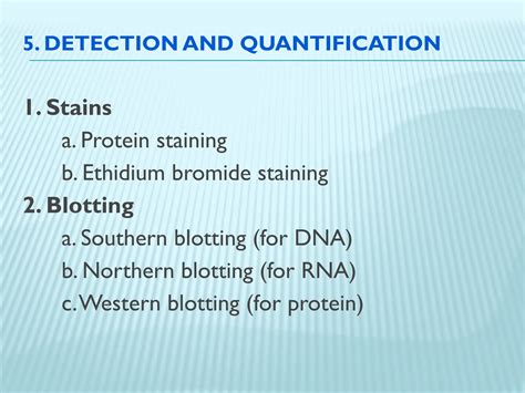 Mpat Ppt 1pptx Nnnnnnnnnnnnnnnnnnnnnnnnnnnnnnnnnnnnn Ppt