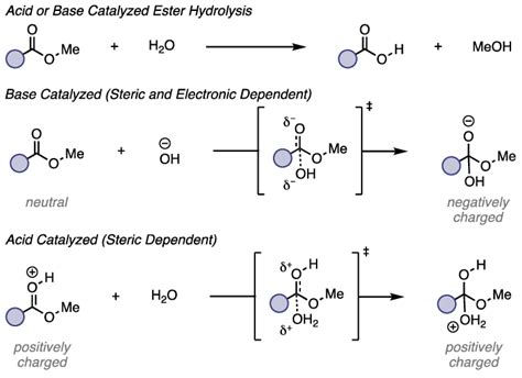 Mechanisms Of Ester Hydrolysis Under Acid Or Base Catalysis Download Scientific Diagram