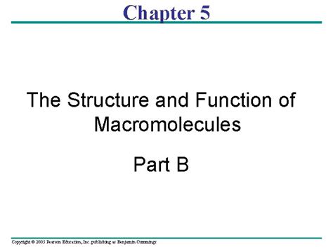 Chapter 5 The Structure And Function Of Macromolecules