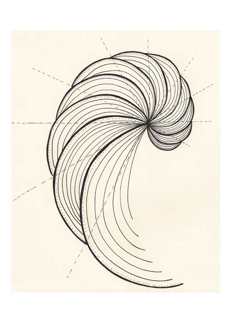 Fibonacci Spiral Art Print Beatrizintransit