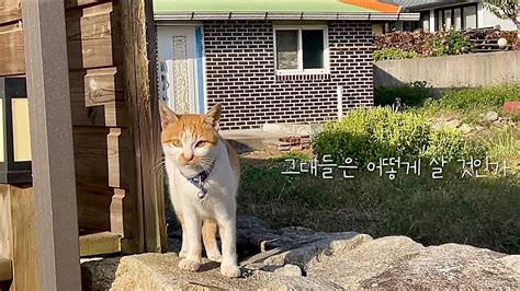 Sub 이사 Vlogㅣ15평 촌집에서 1년만에 도시 아파트로 이사 🚚 겨울 일상 Beautiful Daily Life