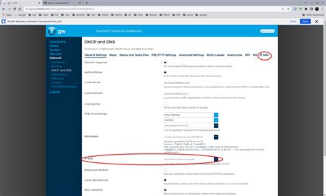 Luci Mod Network Ipsets Configuration Under Dnsmasq Appears 2 Times · Issue 6180 · Openwrt