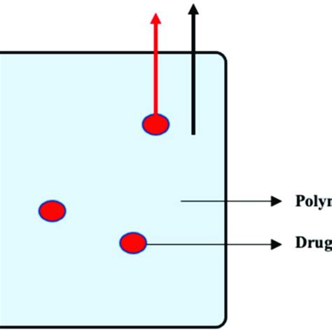 Drug Diffusion Through The Polymeric Matrix Of A Contact Lens Cl Download Scientific Diagram