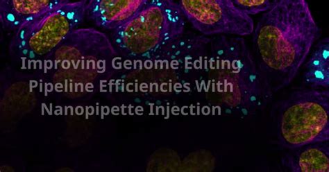 Yokogawa Life Science On Linkedin Two General Approaches For Genome