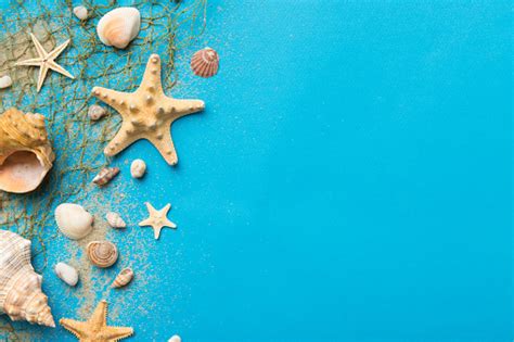 여름 시간 개념 컬러 테이블에 아름다운 불가사리와 바다 조개가있는 평평한 평지 구성 텍스트를위한 복사 공간이있는 상단 전망 0명에 대한 스톡 사진 및 기타 이미지 Istock