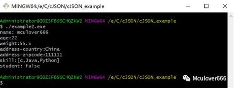 新年祝福cJSON下篇 如何解析JSON数据及内存钩子的使用方法 技术阅读 半导体技术