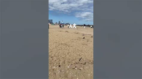 전생에 넌 뭐였을까 Youtube