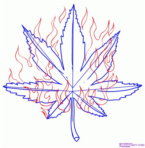 Weed Leaf Drawing Step By Step