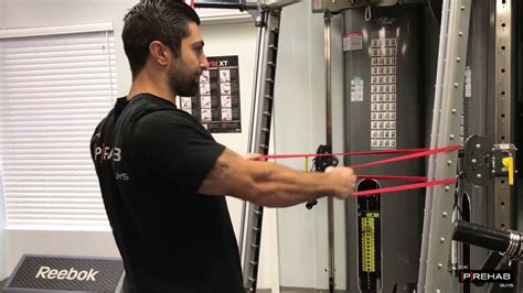 Scapular Control Youtube