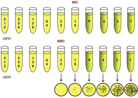 Minimum Inhibitory Concentration MIC Versus Minimum Bactericidal