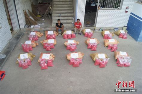 云南警方破获特大毒品案 缴获冰毒近400公斤 新闻中心 温州网