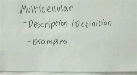 Multicellular Description Definition Examples Studyx