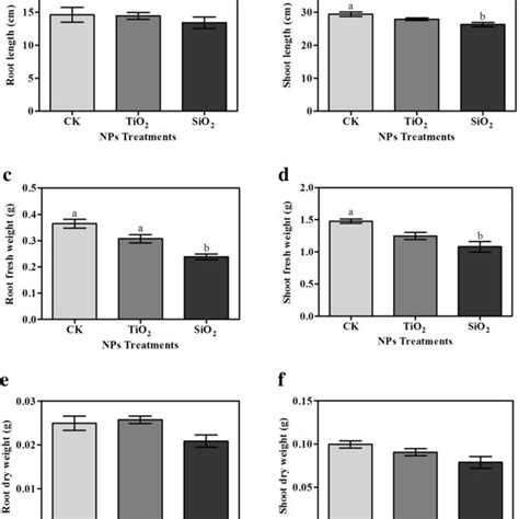 Scanning Electron Microscopic Image Of Tio2 Nps 30 Nm Download Scientific Diagram
