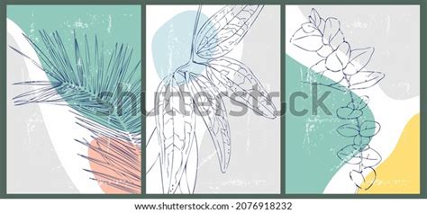 Set Three Abstract Minimalistic Aesthetic Floral Stock Vector Royalty