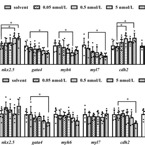 Embryonic Exposure To Phenanthrene Phe For 96 H Affected Cardiac