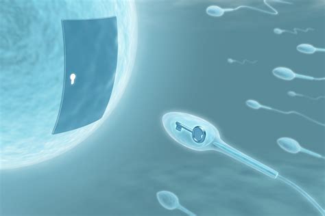 Sperm Abstraction Abstract Bokeh Life Sex Sexual Medical Dna Sperm Abstraction Abstract Bokeh Life Sex Sexual Medical Dna
