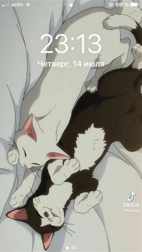 Обои С Котиками Аниме