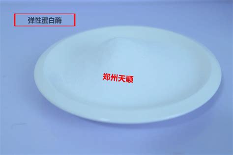 弹性蛋白酶 郑州天顺食品添加剂生产厂家