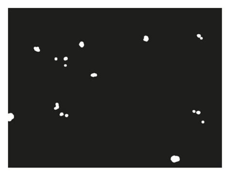 Segmentation Foreground Renderings A Original Image B Standard