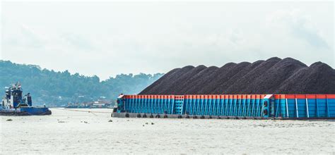 prabowo s ambitious decarbonization goal requires visionary project