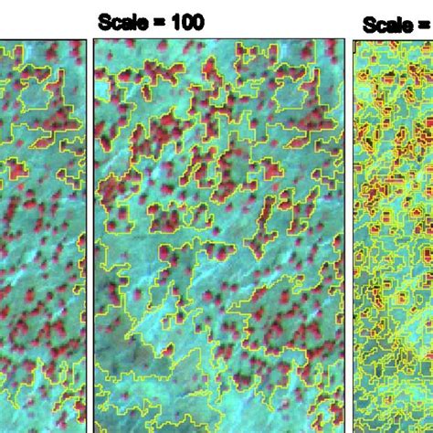 examples of different scale parameters and impacts on the segmentation