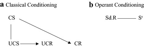 Classical And Operant Conditioning A Depicts That If The Conditional Download Scientific