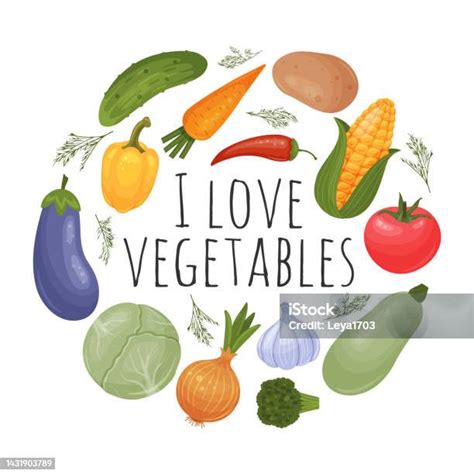둥근 형태의 야채 오이 토마토 양파 마늘 후추 양배추 감자 가지 당근 옥수수 스쿼시 브로콜리 음식 벡터 일러스트 레이 션 흰색에 고립되어 있습니다 만화 스타일 가지 채소에