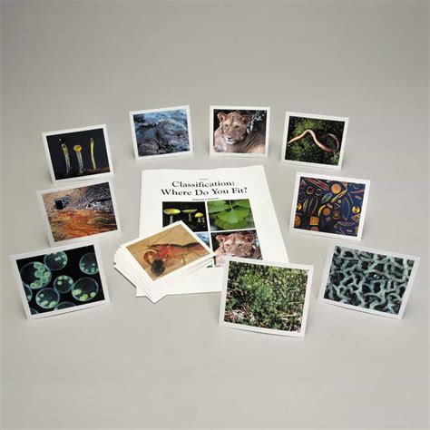 Suncoast Sciencefab Lab Classification Kit