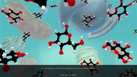Exercise Physiology Virtual Lab Labster