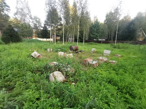 Земли сельхозназначения Московская область Рузский городской округ садовое товарищество