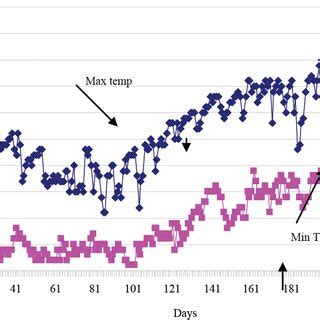 Daily Ambient Air Temperature During 2004 05 Download Scientific Diagram