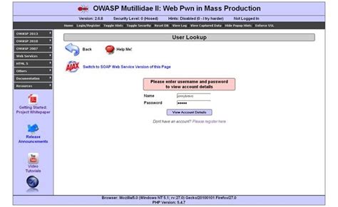 manual web application penetration testing identifying application