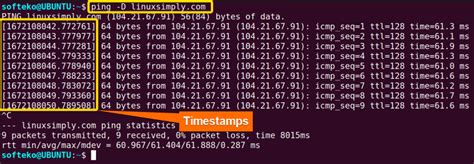 the “ping” command in linux [9 practical examples]