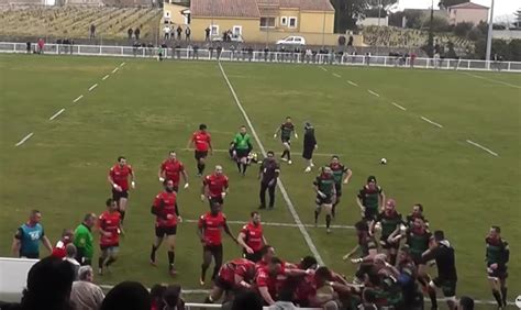 Матч по регби во Франции перерос в жестокую драку с фанатами