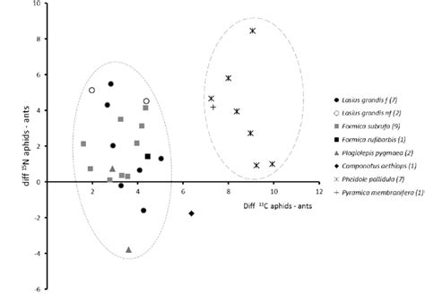 Categorization Of Ant Species Into Trophic Functional Groups By
