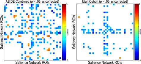Within Salience Network Resting State Functional Connectivity In Download Scientific Diagram