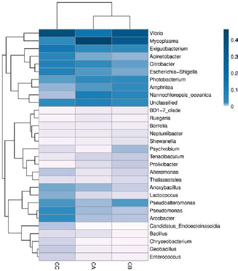 Relative Abundance Of Microbial Phyla A And Relative Abundance Of Download Scientific Diagram