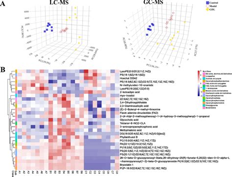 a pls da score plots of three groups by lc ms and lc ms b