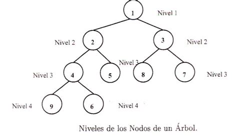 Árboles Conceptos Básicos
