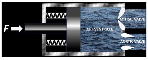 Inertia Driven Mitral And Aortic Valves The Isovolumic Myth European