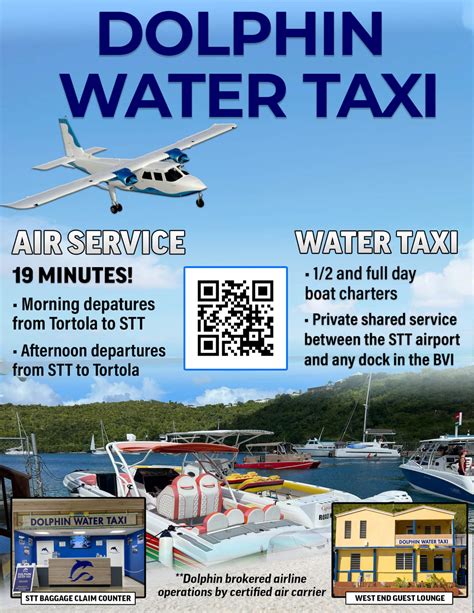 Dolphin Water Taxi Transfers From Stthomas To Anywhere In Bvi
