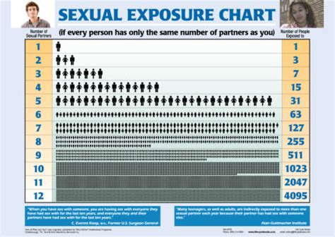 Poster Sexual Exposure Chart Life Cycle Books USA
