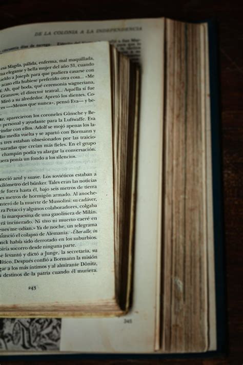 가시 고전 문학 공부하다 교육 교육 도구 글꼴 남아메리카 단어 대본 도서관 독서하는 라틴어 스크립트 메리다 문서 문학 베네수엘라 빈티지 책