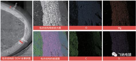 飞纳电镜在制药领域的应用 知乎