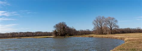 Rowlett Pest Control Local Exterminator In Rowlett Tx