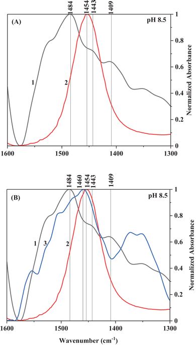 a b smoothened and normalized in situ attenuated total reflectance