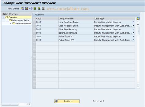 FDM CUST18 SAP Tcode Automatic Change Of Document Fields Transaction Code